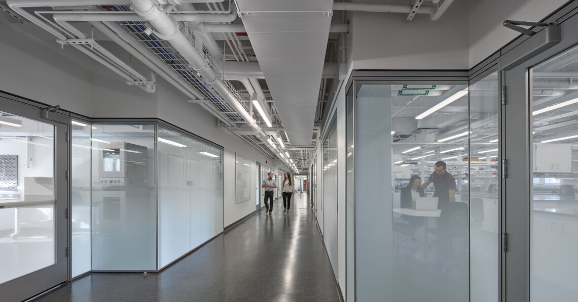 Princeton University Department of Molecular Biology Lab Redesign