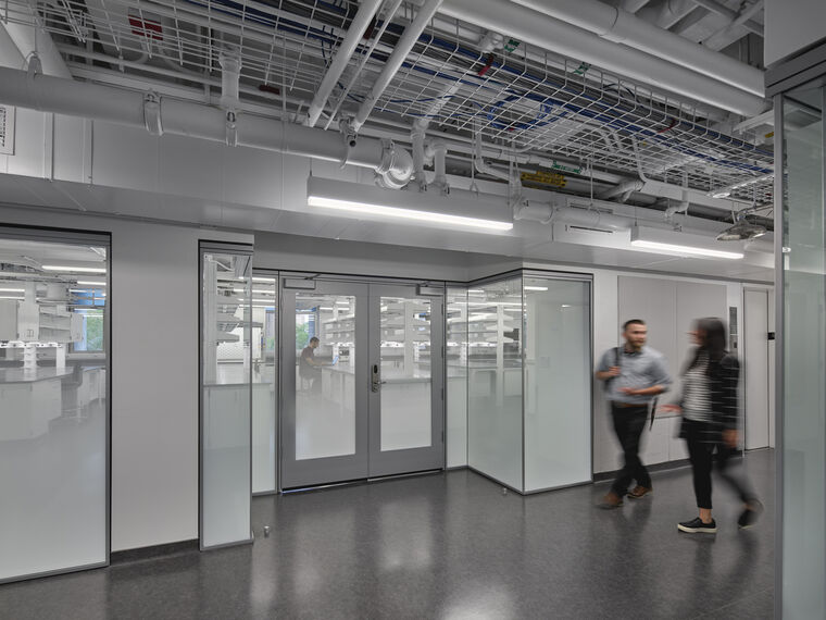 Princeton University Department of Molecular Biology Lab Redesign