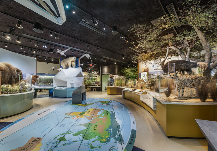 Delaware Museum of Nature and Science