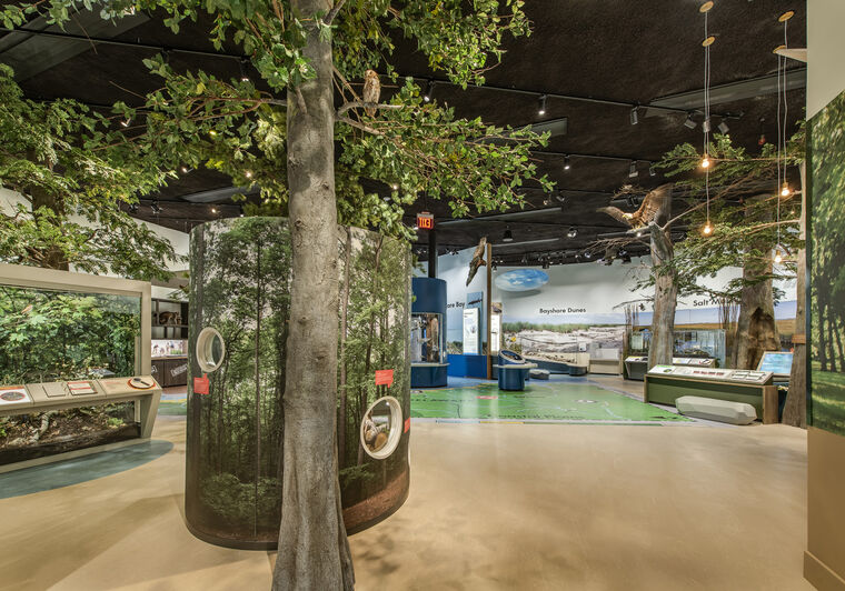 Delaware Museum of Nature and Science