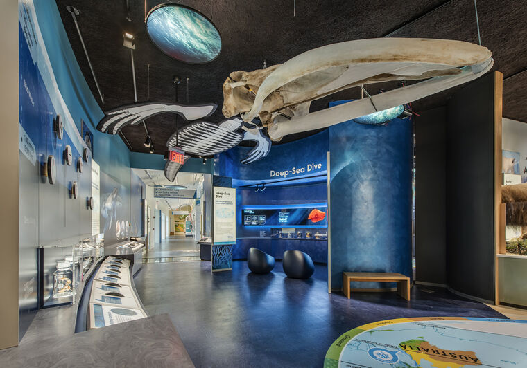 Delaware Museum of Nature and Science