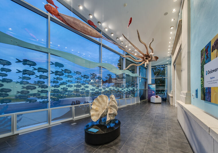Delaware Museum of Nature and Science